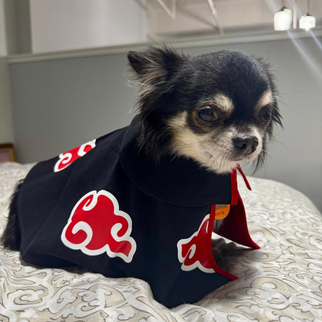 Dog Cat Cloak | Naruto Akatsuki | Anime Inspired Pet Clothing | Cosplay ...