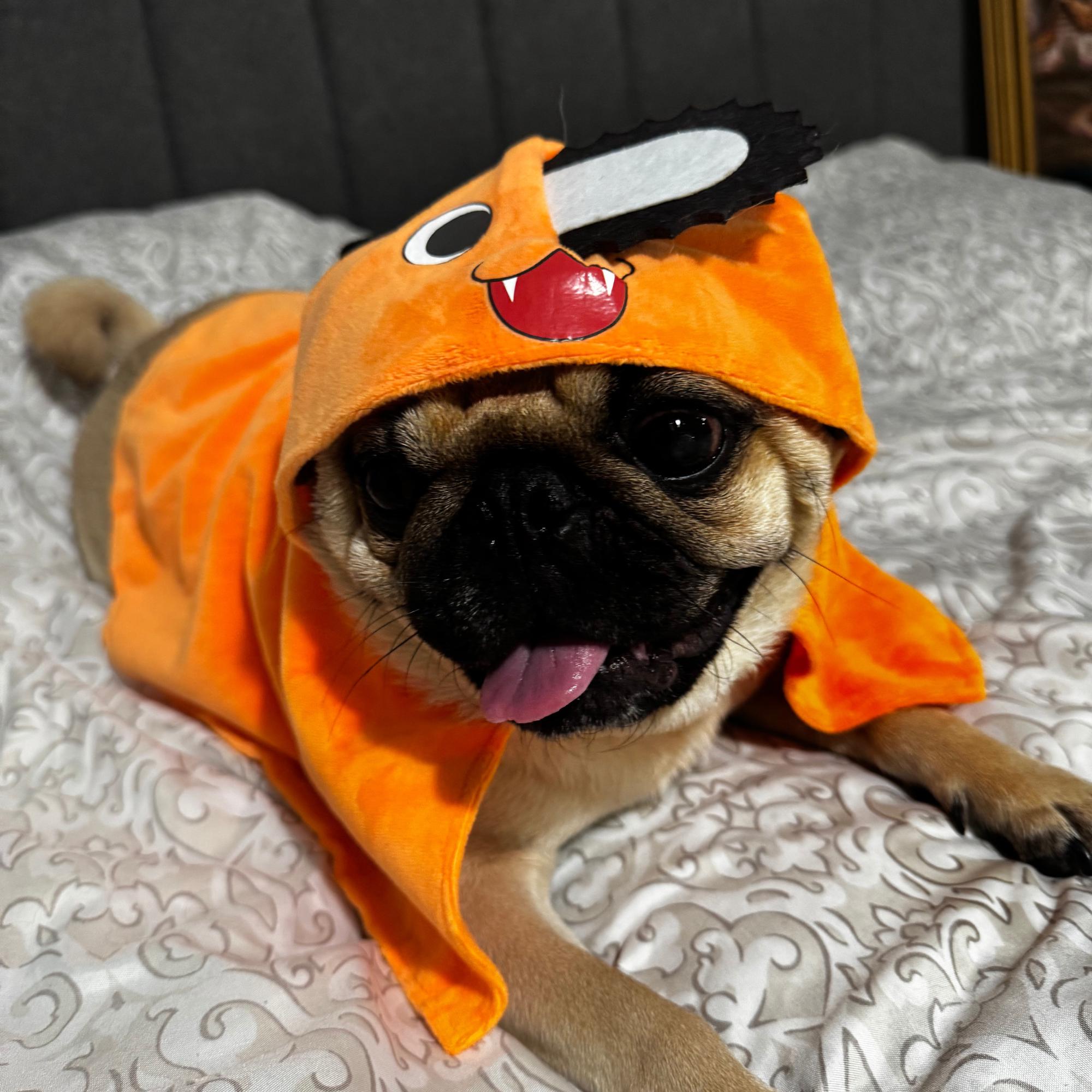 Japanese Anime Themed Pet Costume | Dog Cat Cap Cloak | Chainsaw Man ...