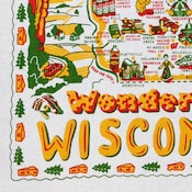 Wisconsin Native Fish Species Poster - Etsy