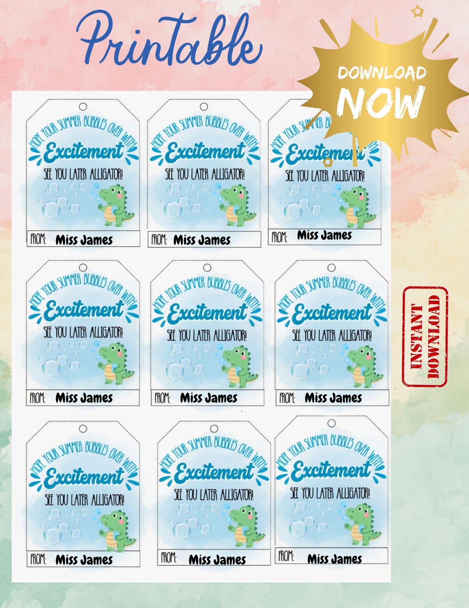Editable Summer Gift Tags Printable See You Later Alligator Bubble Gift ...