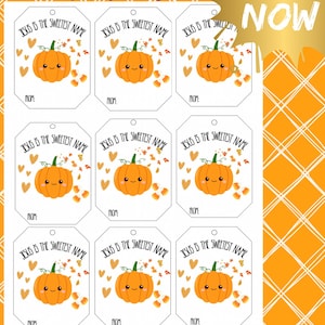 Winnie the Pooh Trunk or Treat - Etsy