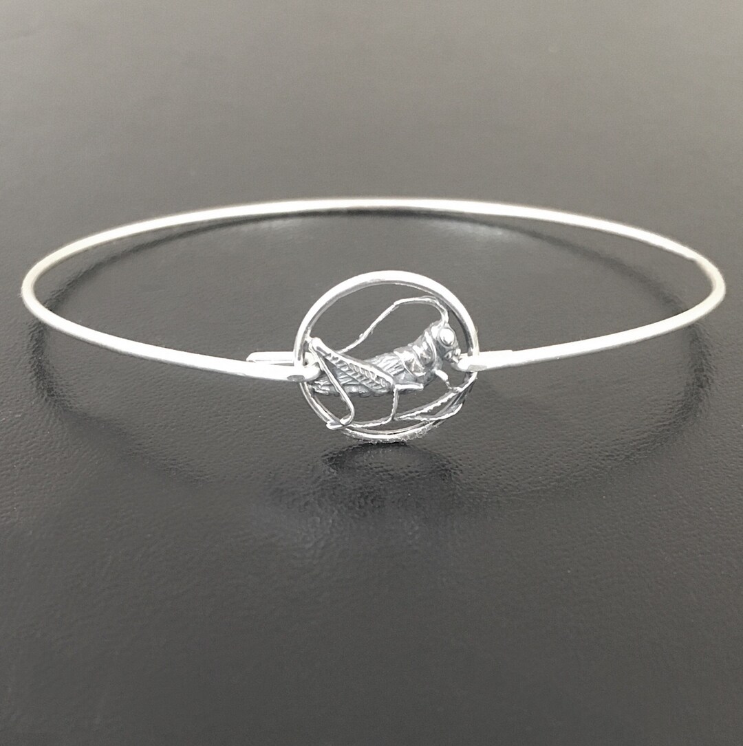 Cricket Bracelet, Lucky Charm Bracelet for Women, Cricket Jewelry ...