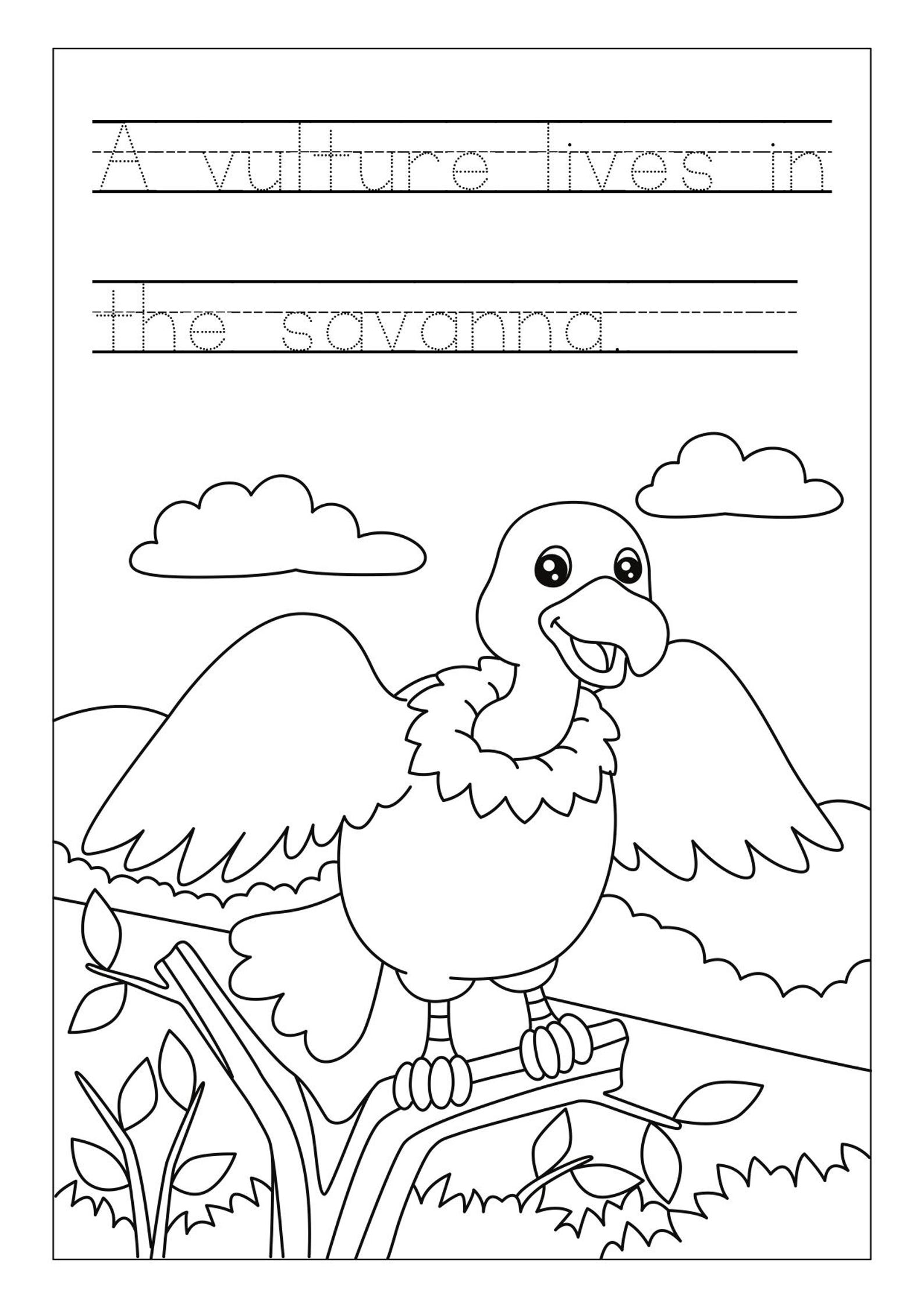 Animal Habitats Coloring 39 Pages – Learn to Color With Fun - Etsy