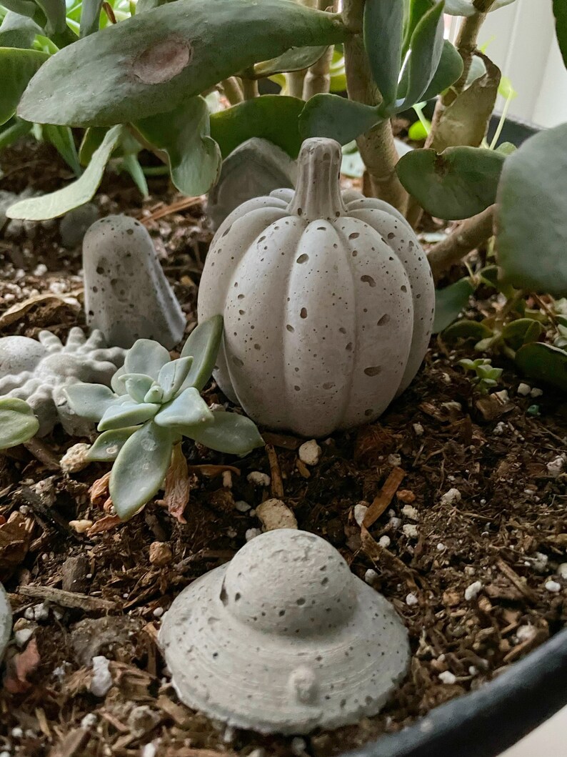 Concrete Pumpkin Garden Terrarium Table Decoration Fairy - Etsy