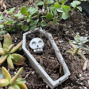 Concrete Coffin Casket Fairy Garden Scary Decor Terrarium Burial ...