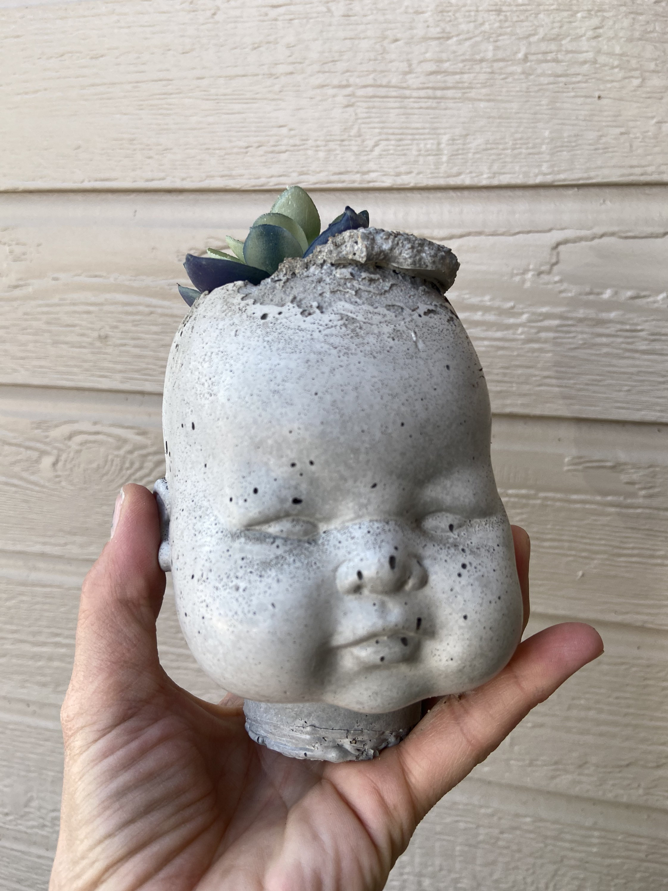 1 Large Concrete Baby Doll Head Planter Sumo | Etsy