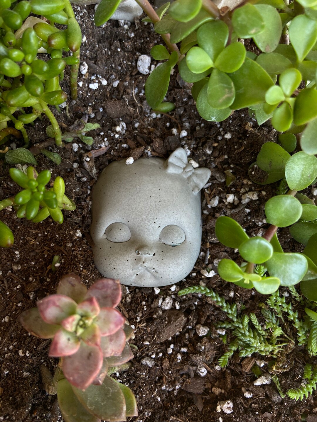 Flat Concrete Baby Doll Head: Garden Planter Decoration - Etsy