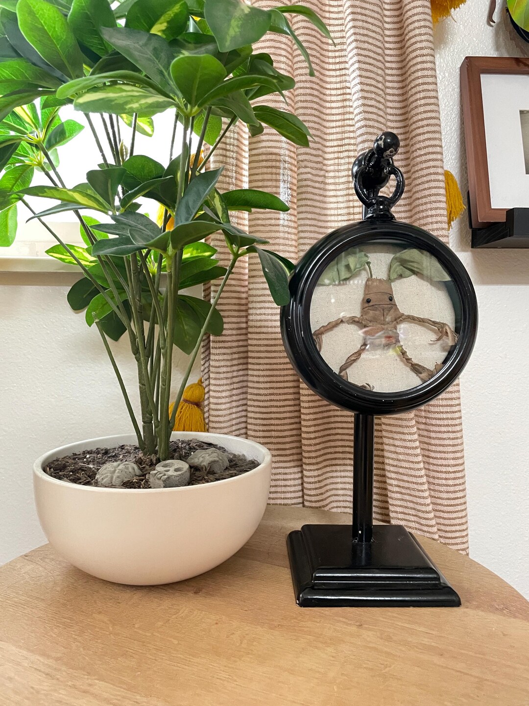 Mandrake Hanging Clock Frame Home Decor Mandragora Officinarum OOAK - Etsy