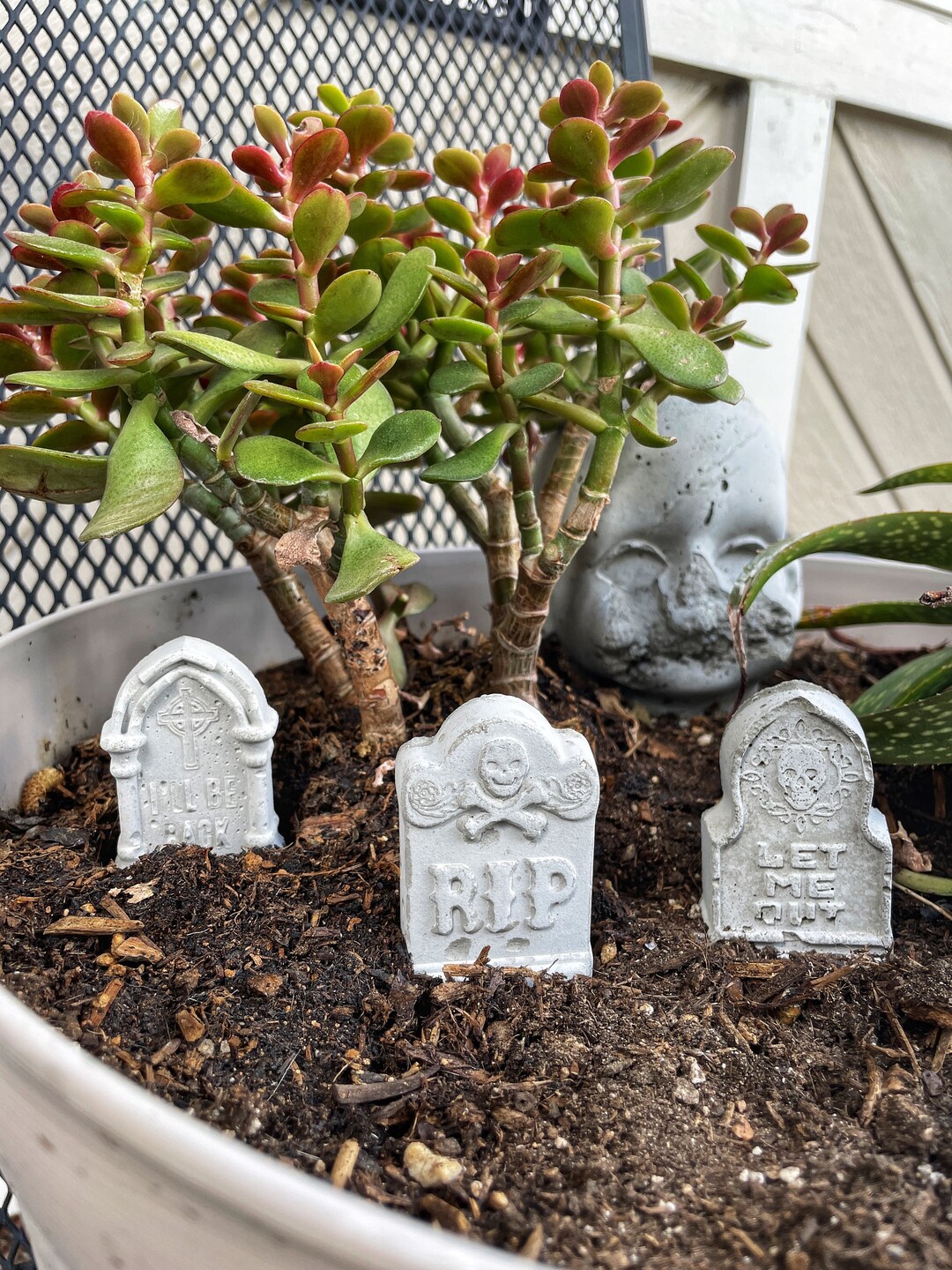 Mini Tombstones Concrete Garden Decorations Halloween Terrarium Plants ...