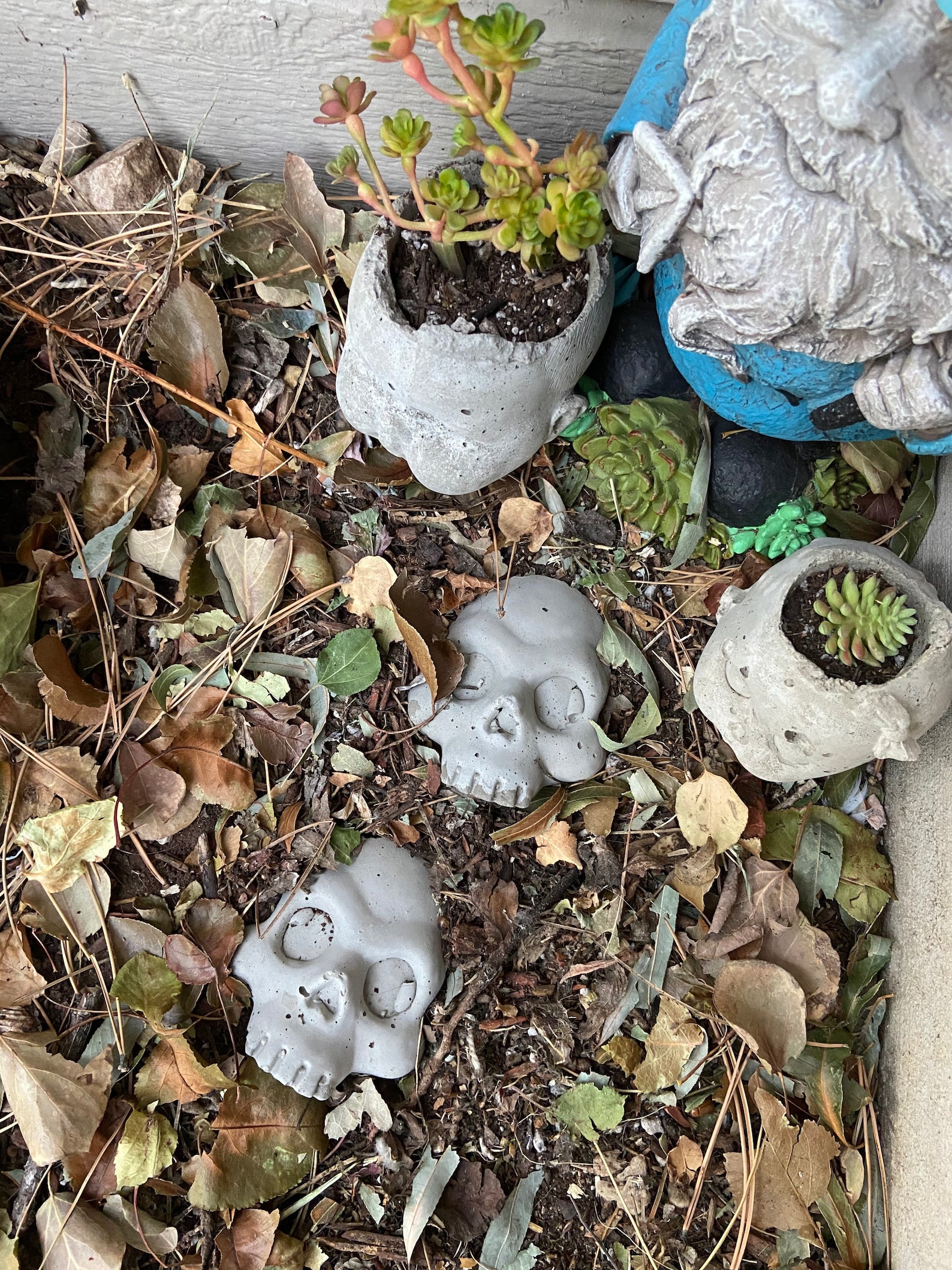 1 Concrete Skull Garden Planter Decoration Front Yard Pot Head - Etsy