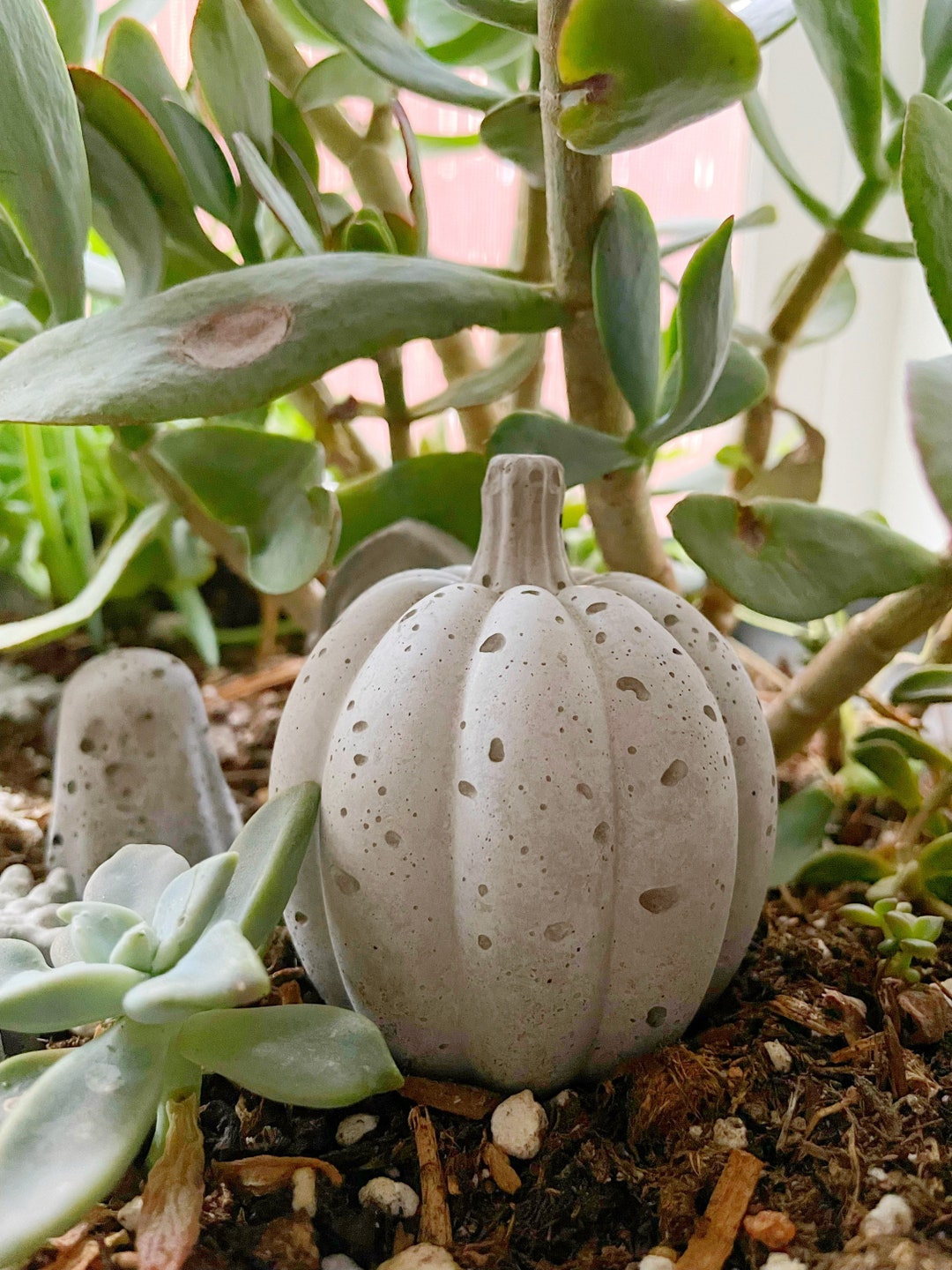 Concrete Pumpkin Garden Terrarium Table Decoration Fairy Miniture - Etsy