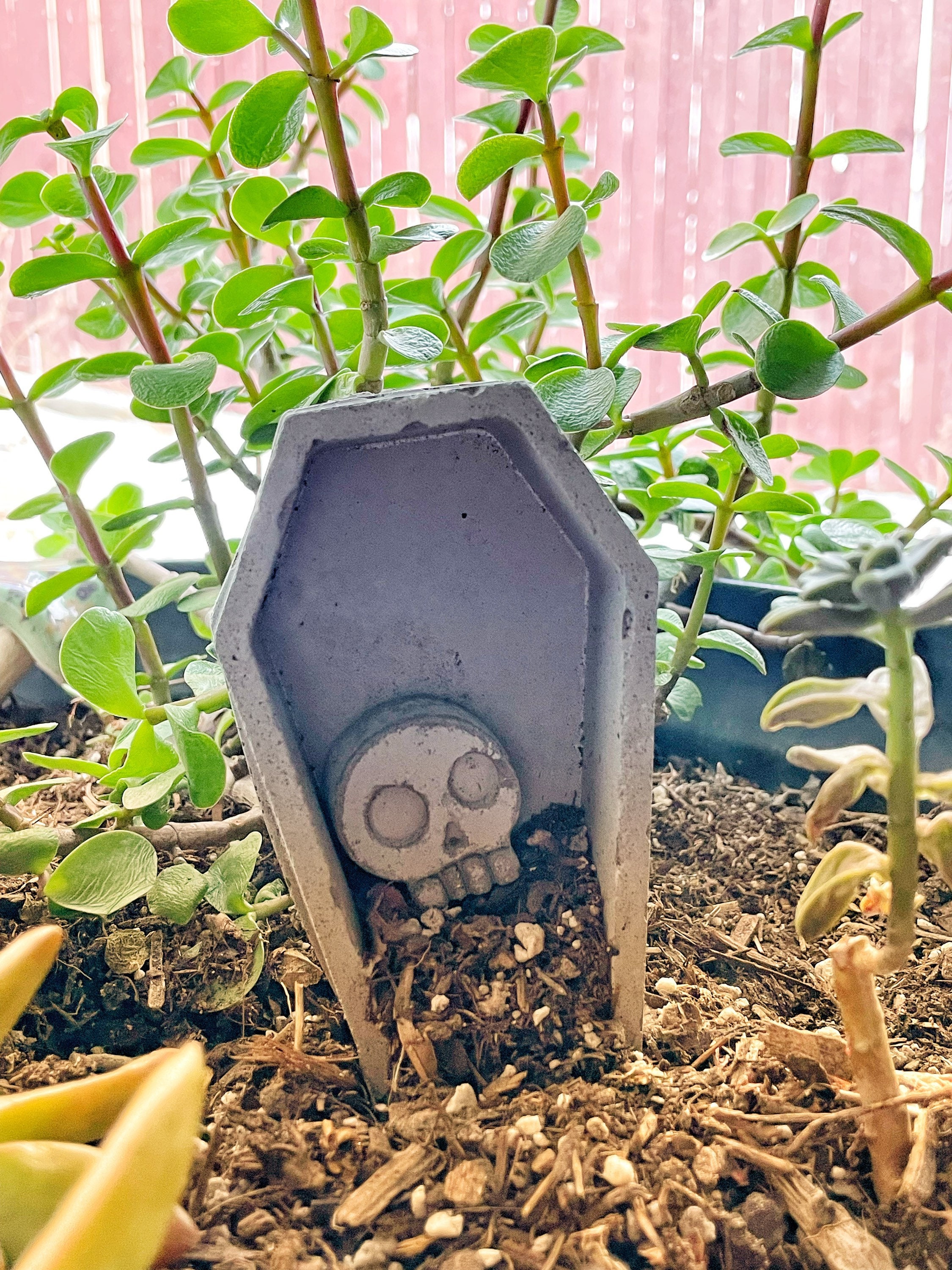 Concrete Coffin Casket Fairy Garden Scary Decor Terrarium Burial ...