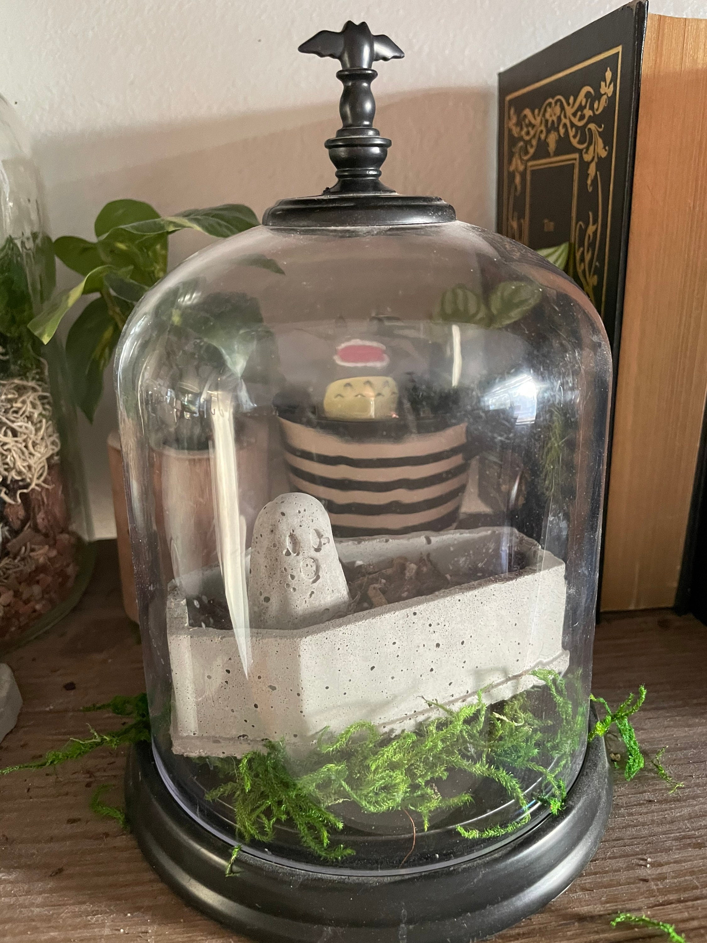 Concrete Coffin Casket Fairy Garden Scary Decor Terrarium Burial ...