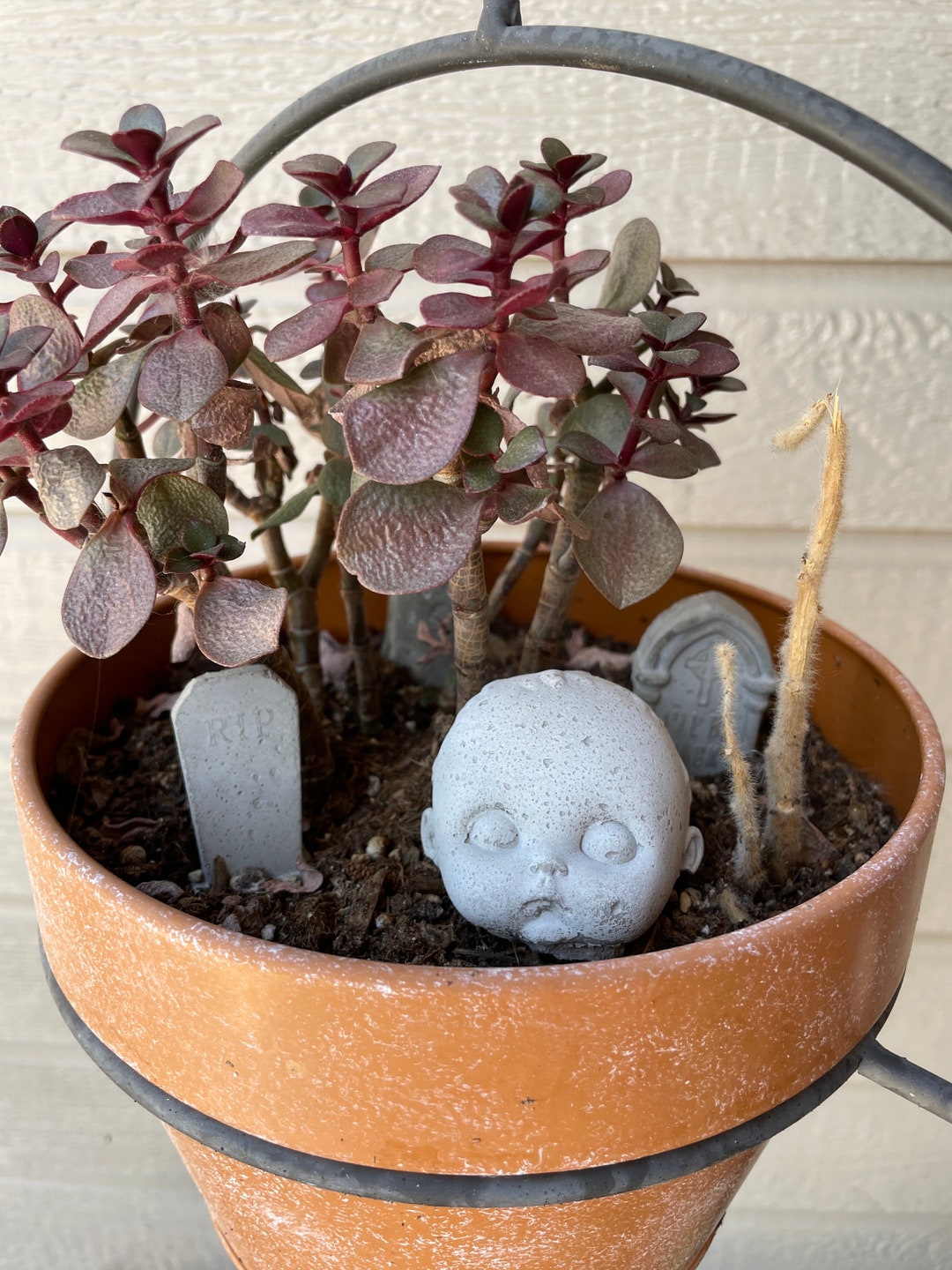 SMALL Concrete Baby Heads Garden Decorations Terrarium Potted Plants ...