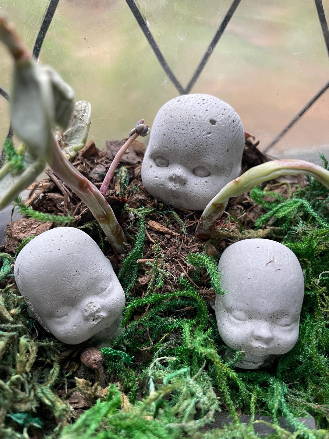 Concrete Baby Head Garden Decor: Roly-poly Planter Terrarium - Etsy