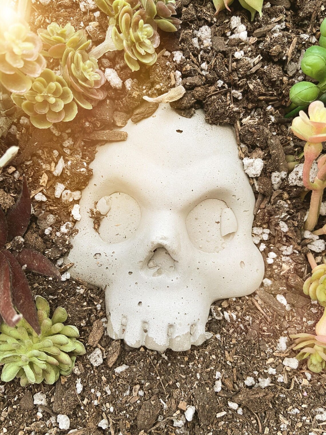 1 Concrete Skull Garden Planter Decoration Front Yard Pot Head - Etsy