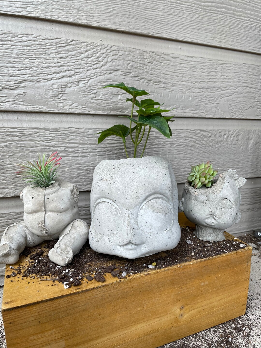 XL Alien Bug-eyed Concrete Planter Plant Pot Decoration UFO "laliari ...