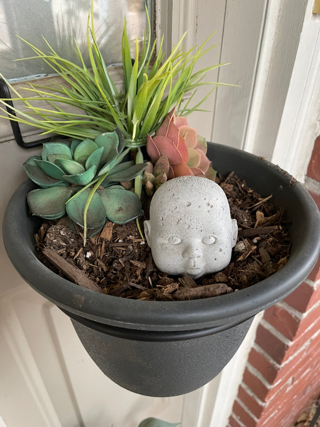 Concrete Baby Heads Garden Decorations Terrarium Potted Plants- Gary - Etsy