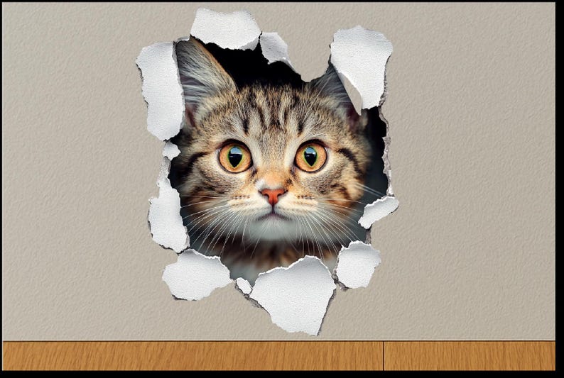 3D Cat Wall Sticker Vinyl Kitty Wall Hole Illusion Decor - Etsy