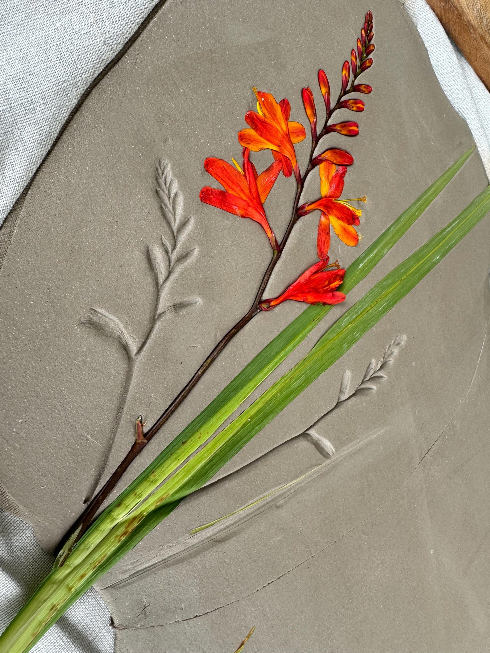 Cornwall Ceramics Plate Platter Floral Sea Holly Gift Raku Hand-made - Etsy