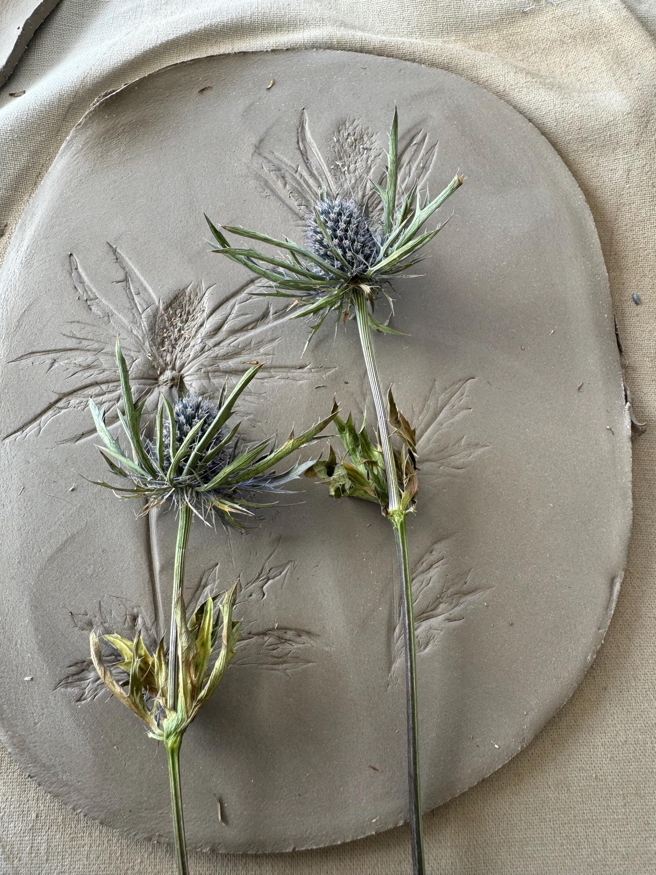Cornwall Ceramics Plate Platter Floral Sea Holly Gift Raku Hand-made - Etsy