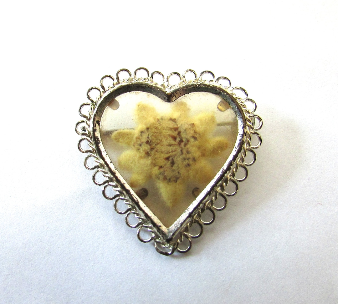Real Edelweiss Pin Brooch Vintage Silver Frame Lucite - Etsy