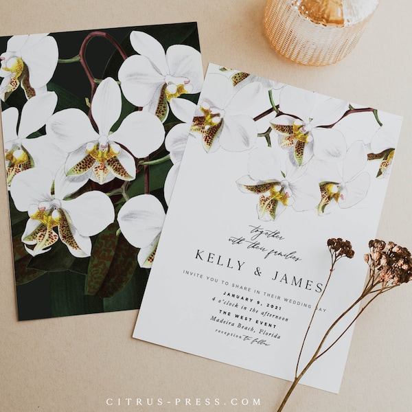 CitrusPressCo - Etsy