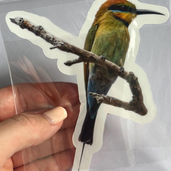 Bee Eater - Etsy