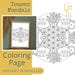Toucan Mandala Coloring Page | Instant Download | Flower of Life ...