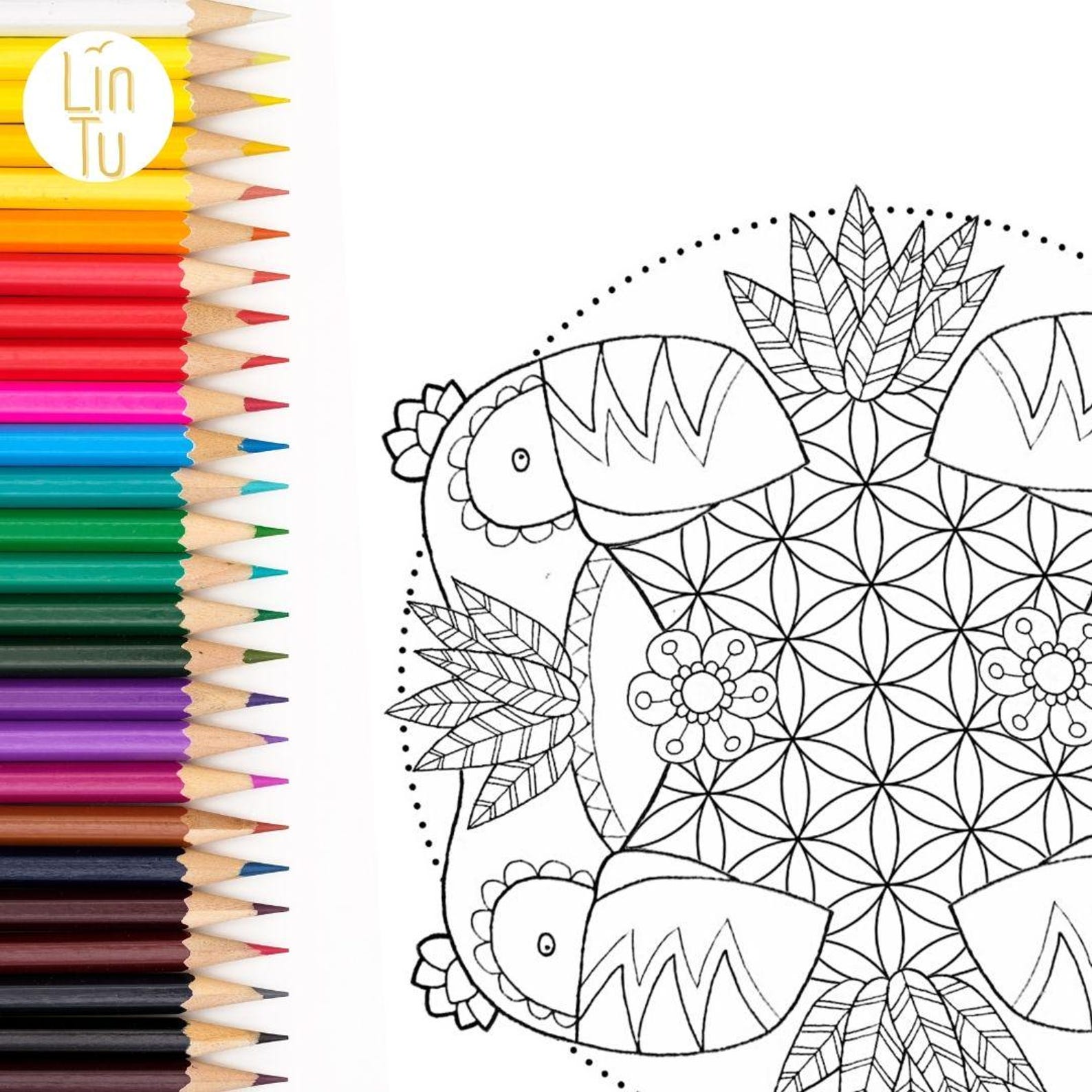 Toucan Mandala Coloring Page | Instant Download | Flower of Life ...