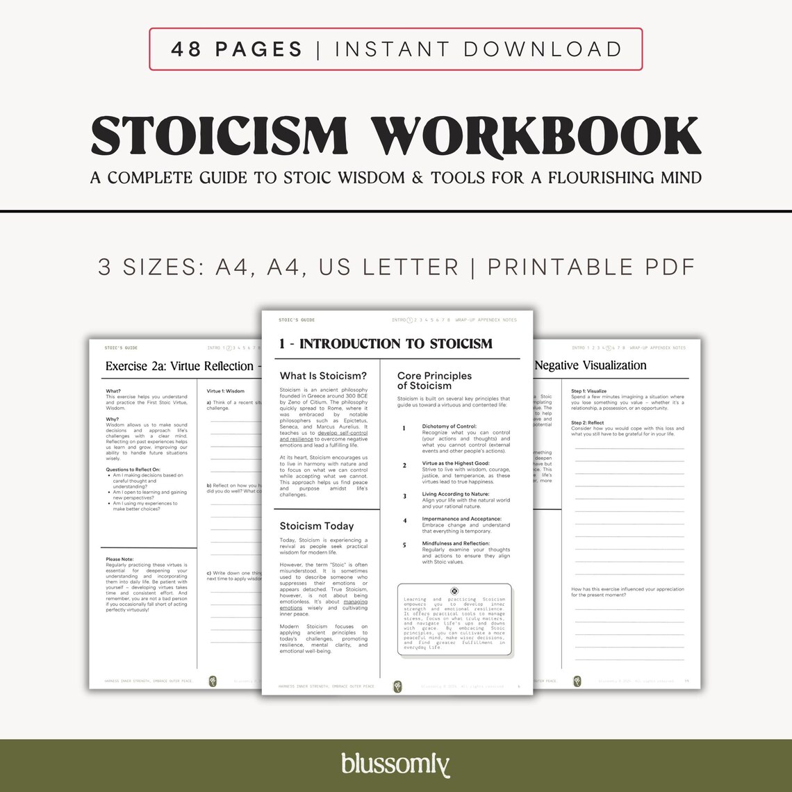 Stoic Mindset Workbook: Resilience & Personal Growth (PDF) - Etsy