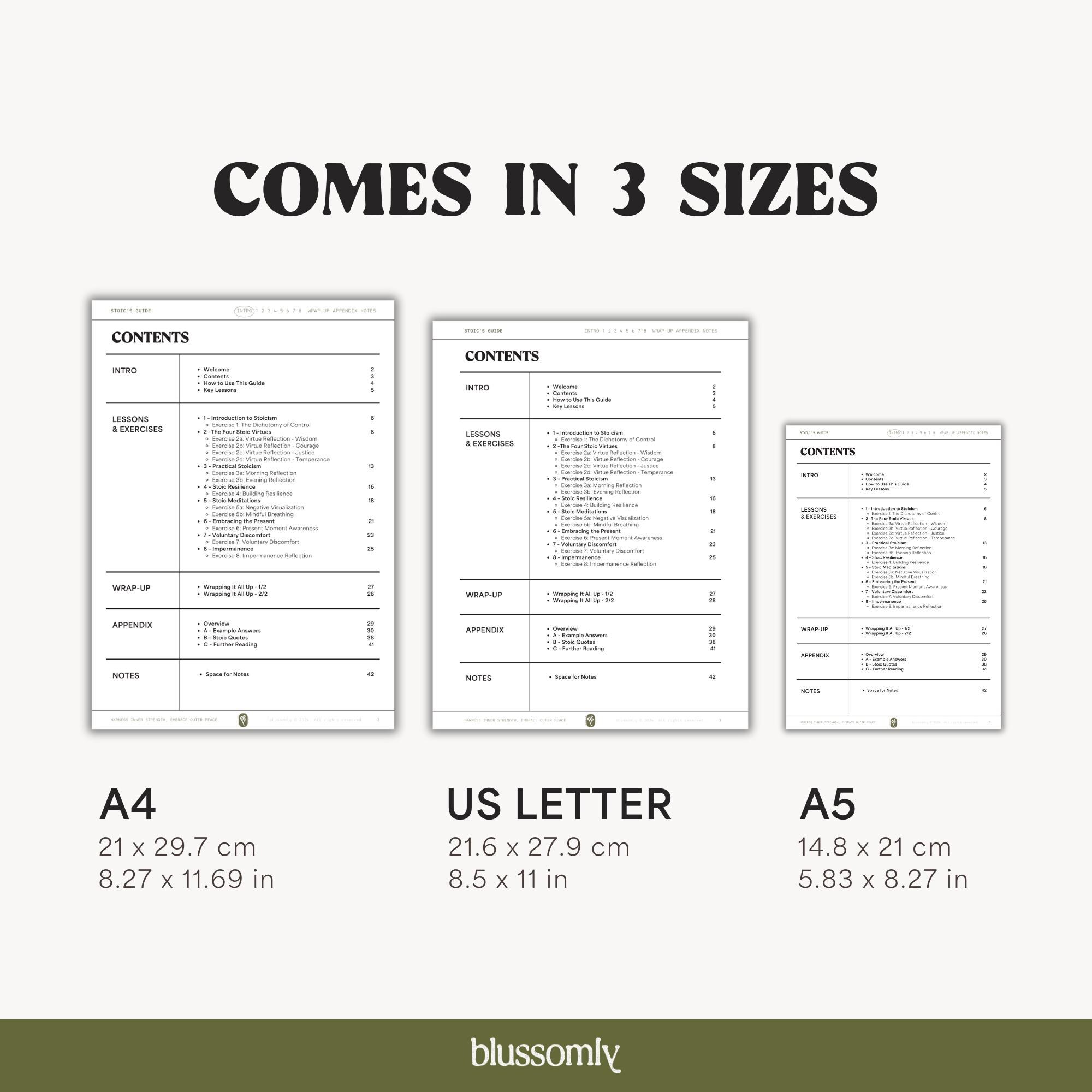 Stoic Mindset Workbook: Resilience & Personal Growth (PDF) - Etsy