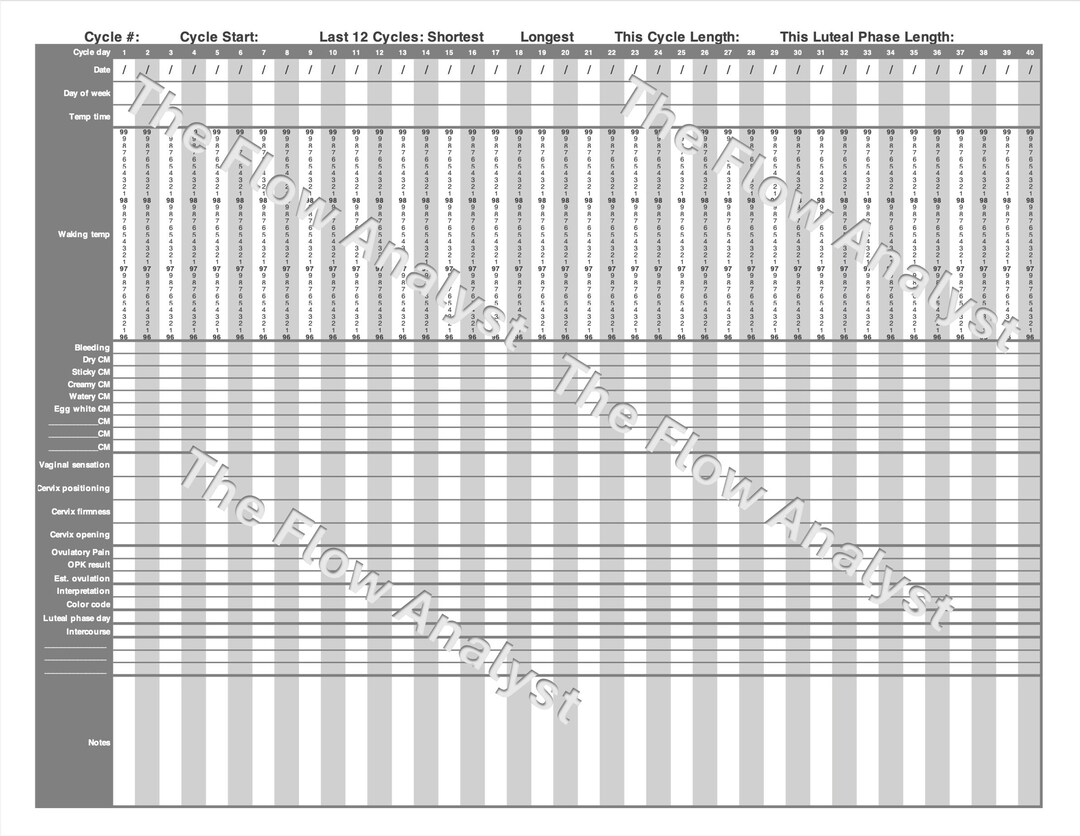 Excel AND PDF Menstrual Cycle Chart Period Tracker BBT Tracker ...