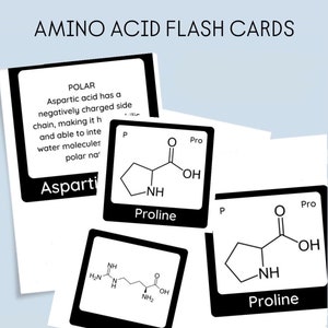 Amino Acid Flashcards (60 Total Cards) + Bonus Document - Etsy