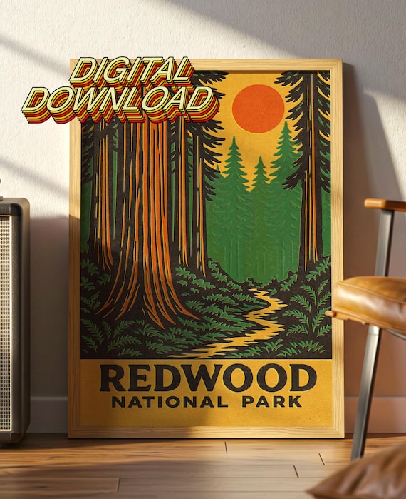 Redwood National Park Illustration
