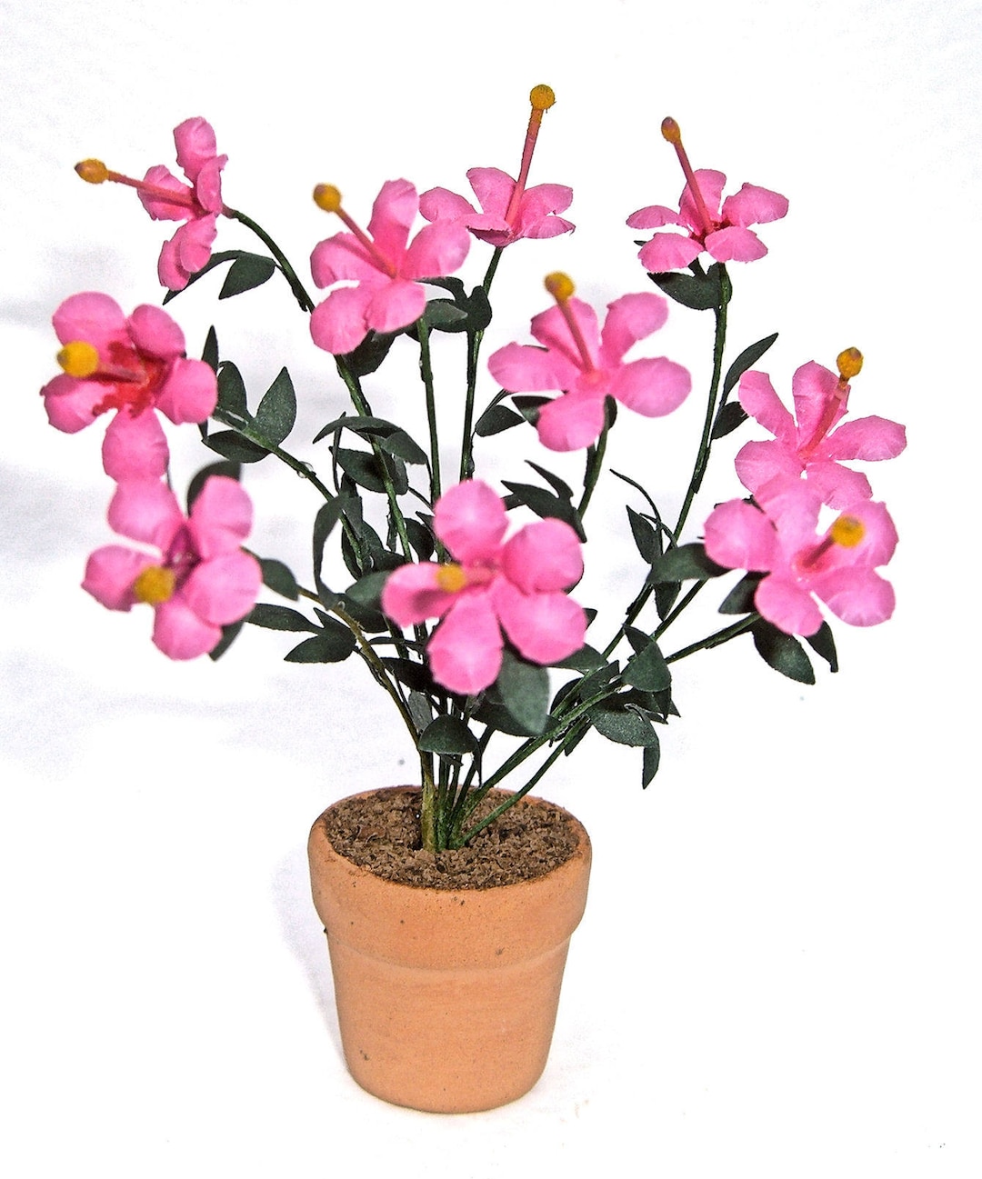 KIT Hibiscus Flower Pink/yellow /red, Dolls House, Miniature Garden, 1: ...