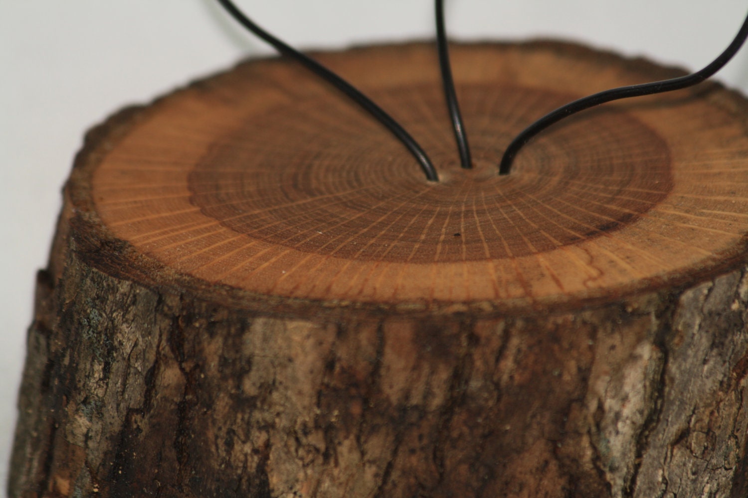 Rustic Wooden Tree Branch Picture Photo Card Holder Stand - Etsy