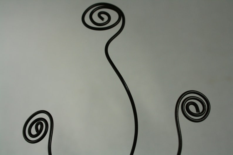 Rustic Wooden Tree Branch Picture Photo Card Holder Stand - Etsy