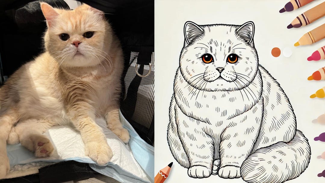 Make YOUR Pet a Coloring Book!! Custom Pet Coloring Book With Your Pet ...