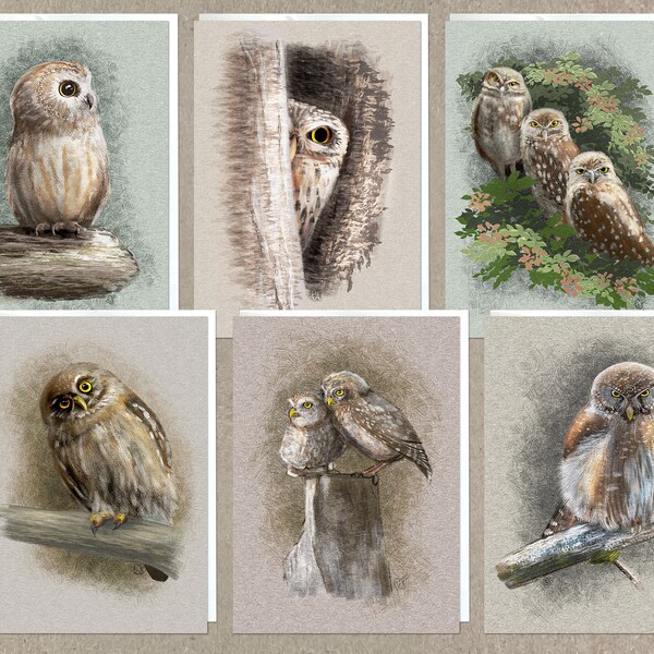 Assorted Blank Note Cards - Etsy