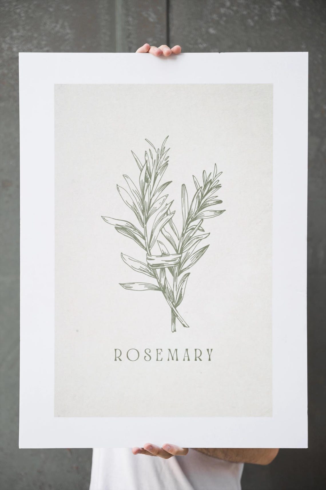 Rosemary Botanical Print | Handdrawn Kitchen Herbs, Kitchen Wall Decor ...