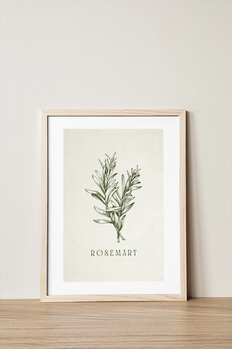 Rosemary Botanical Print | Handdrawn Kitchen Herbs, Kitchen Wall Decor ...