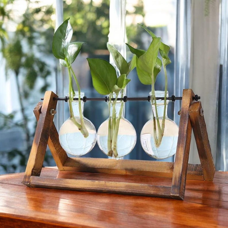 Wooden Plant Pot Stand With Glass Vase | Hydroponic Propagation Station ...
