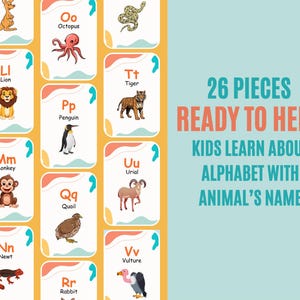 Alphabet Flashcards Animals for Kids Learning Preschool Curriculum - Etsy