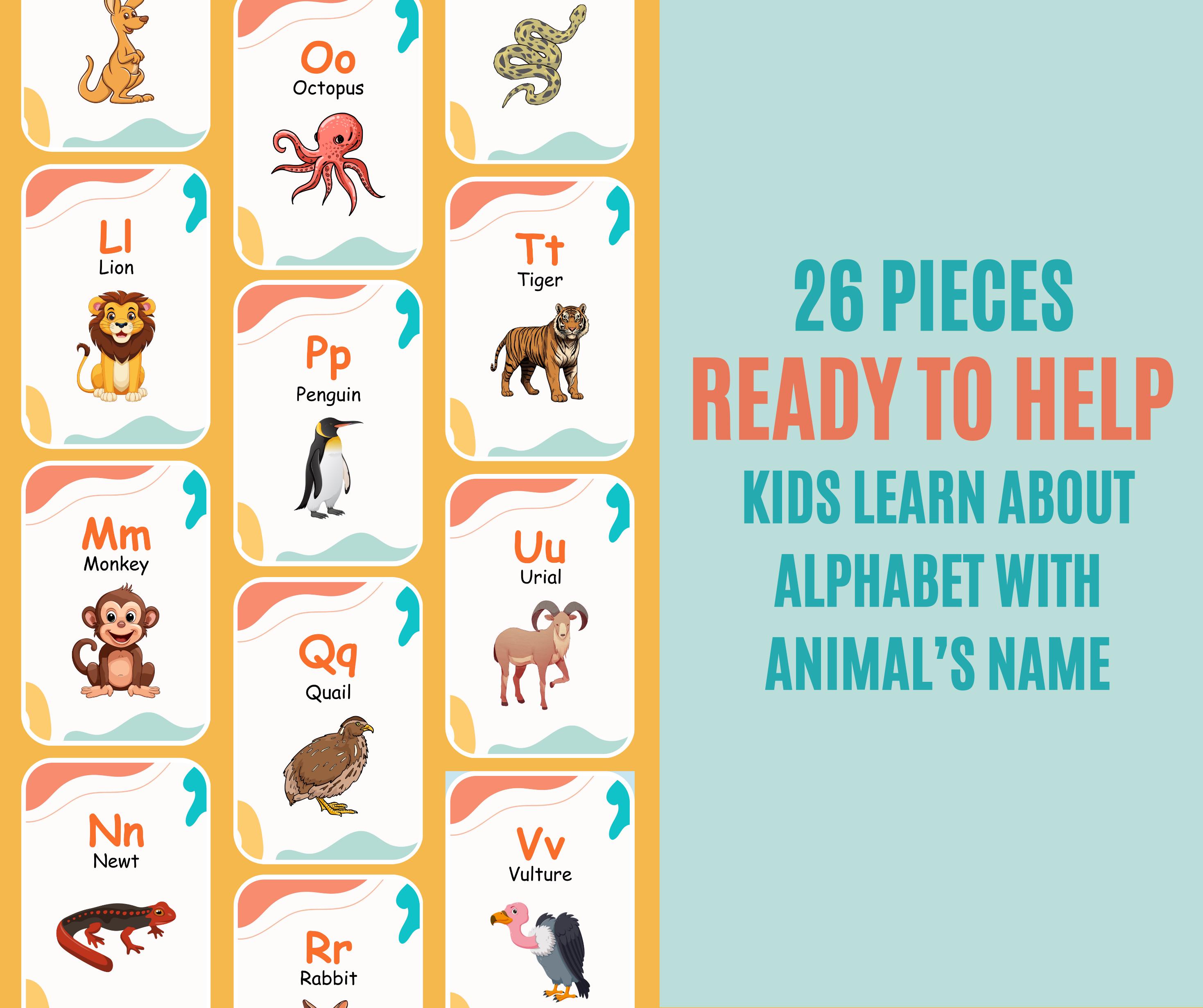 Alphabet Flashcards Animals for Kids Learning Preschool Curriculum - Etsy