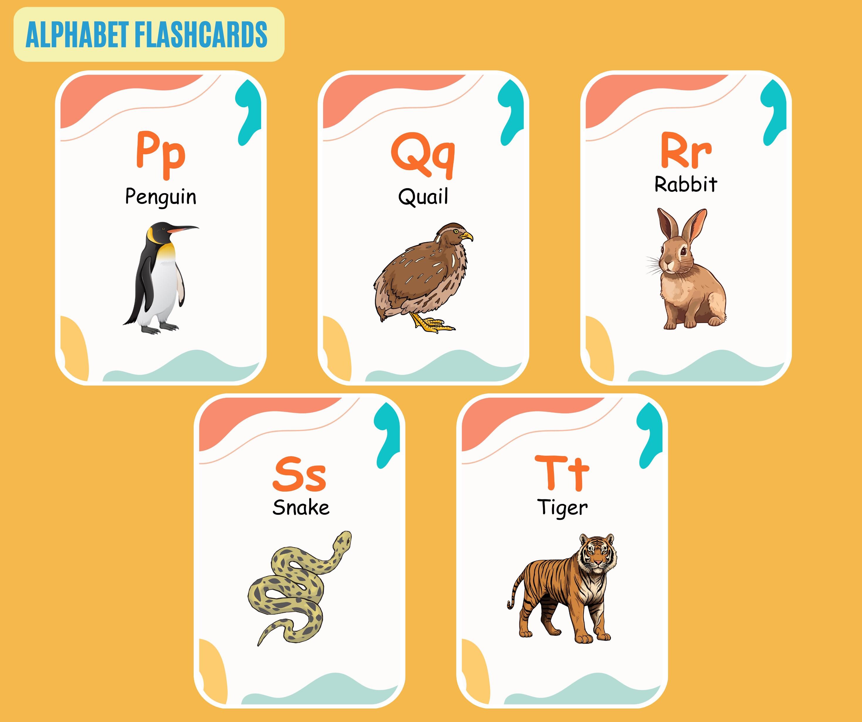 Alphabet Flashcards Animals for Kids Learning Preschool Curriculum - Etsy