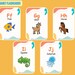Alphabet Flashcards Animals for Kids Learning Preschool Curriculum - Etsy