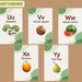 Alphabet Flashcards Fruit for Kids Learning Preschool Curriculum - Etsy