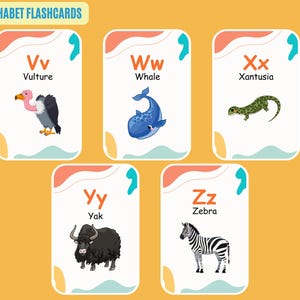 Alphabet Flashcards Animals for Kids Learning Preschool Curriculum - Etsy