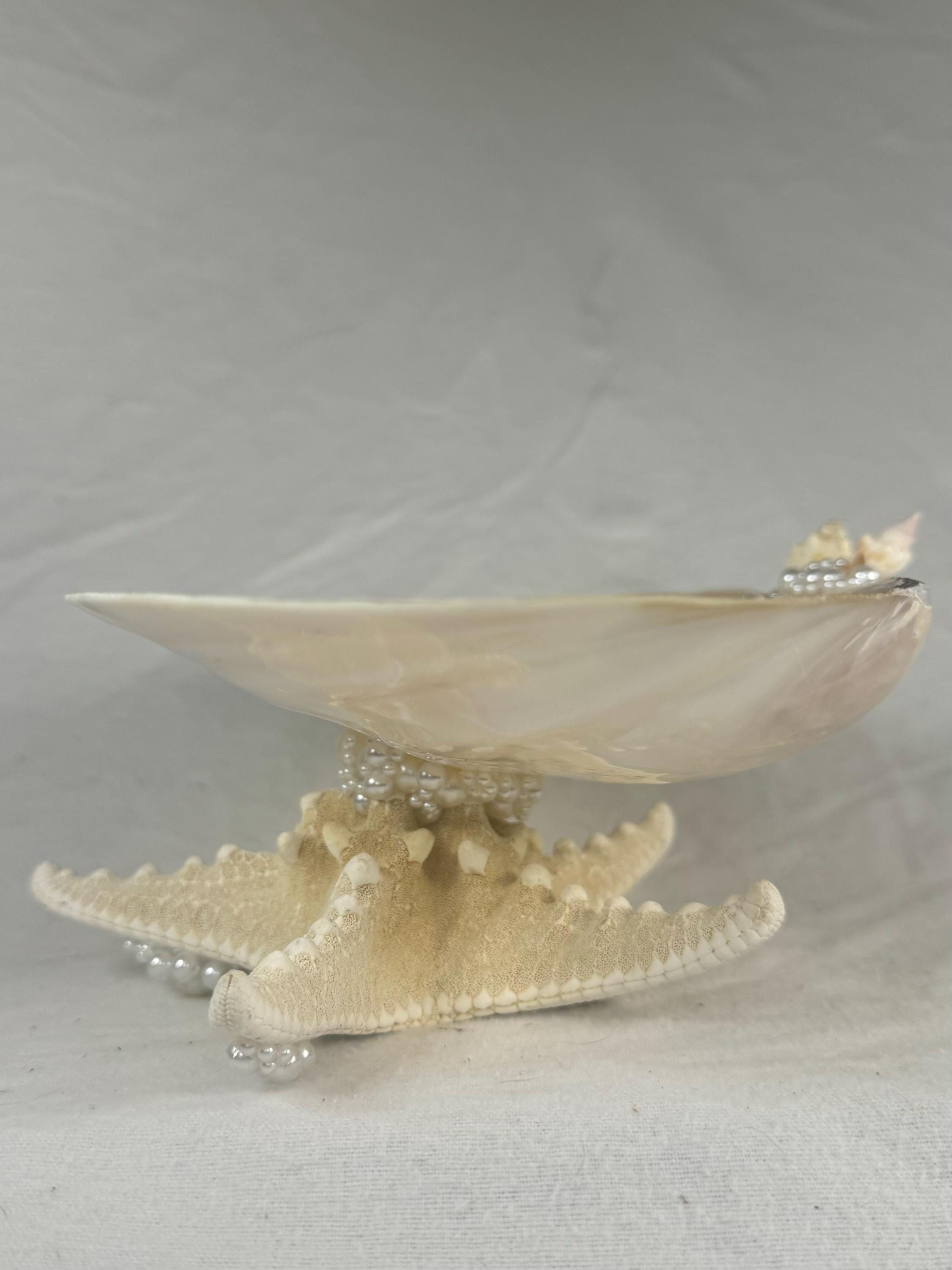 Seashell Holder / Seashell Decor / Seashell Centerpiece - Etsy